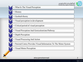 visual motor perception in Cerebral Palsy | PPT
