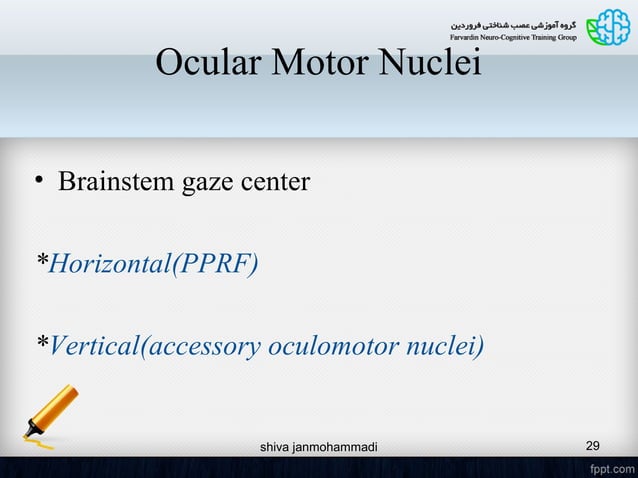 visual motor perception in Cerebral Palsy | PPT