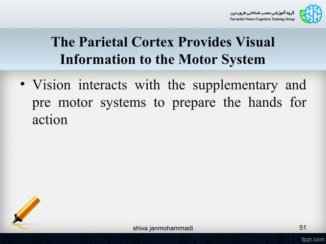 visual motor perception in Cerebral Palsy | PPT