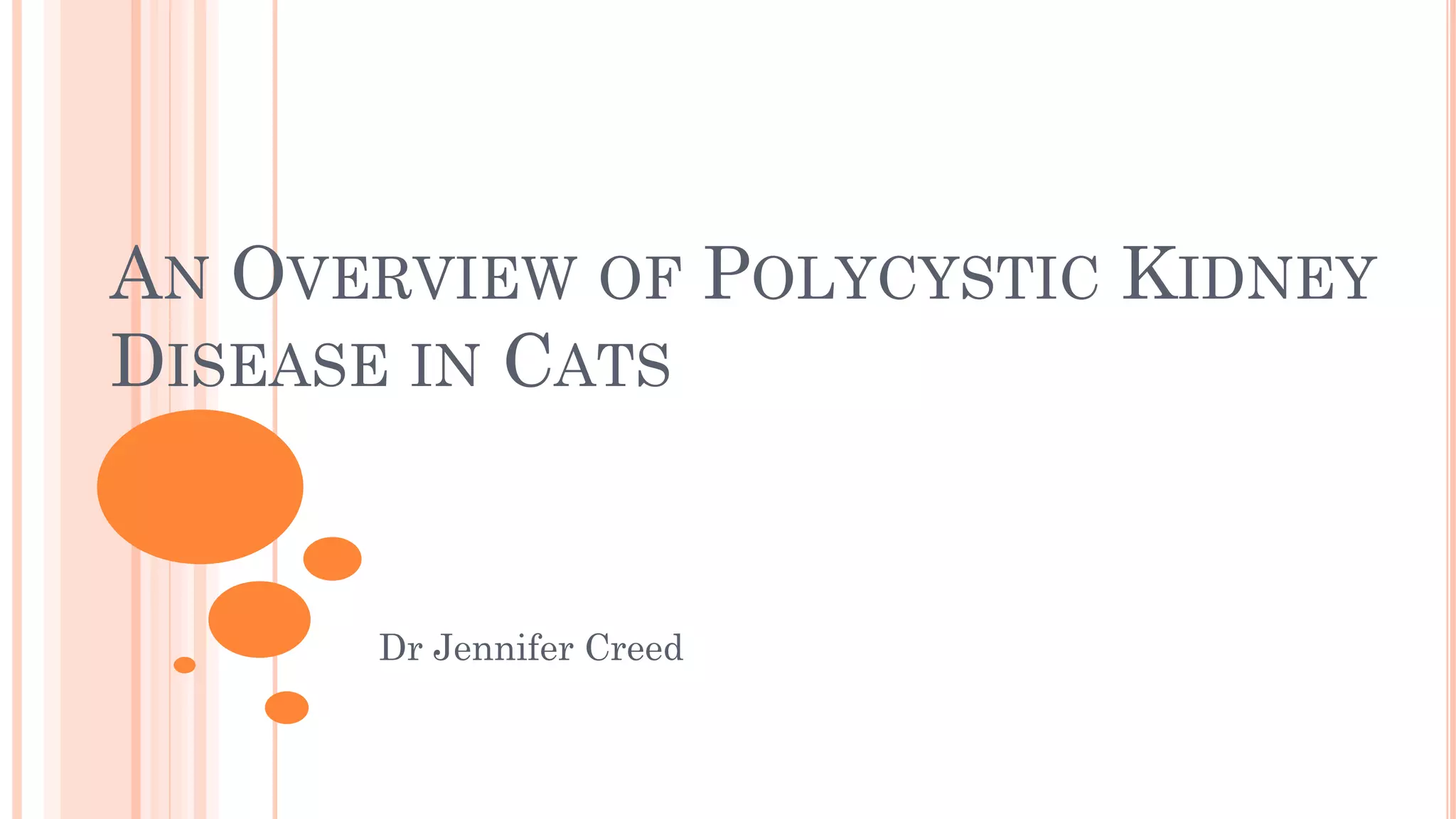 An Overview of Polycystic Kidney Disease in Cats | PPT