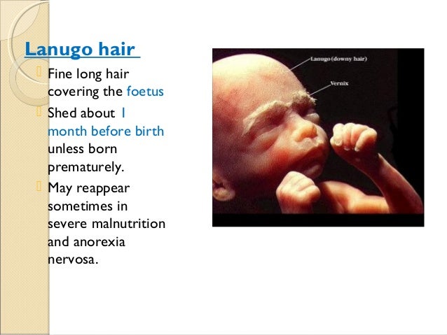 Dr Jennifer Martinick Warning About Hair Disorders