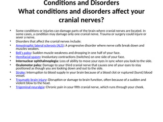 Here's a more detailed look at the cranial nerves | PPT