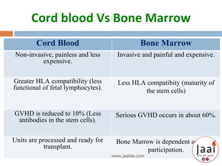 Dr kamlesh patel bone marrow transplantation | PPTX