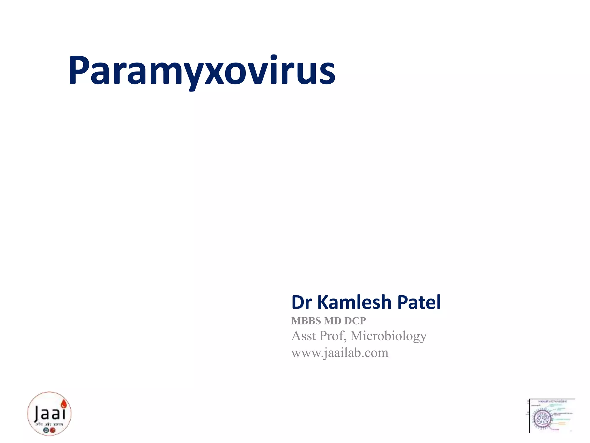 Paramyxovirus: Dr Kamlesh Patel | PPTX | Infectious Diseases | Diseases and Conditions
