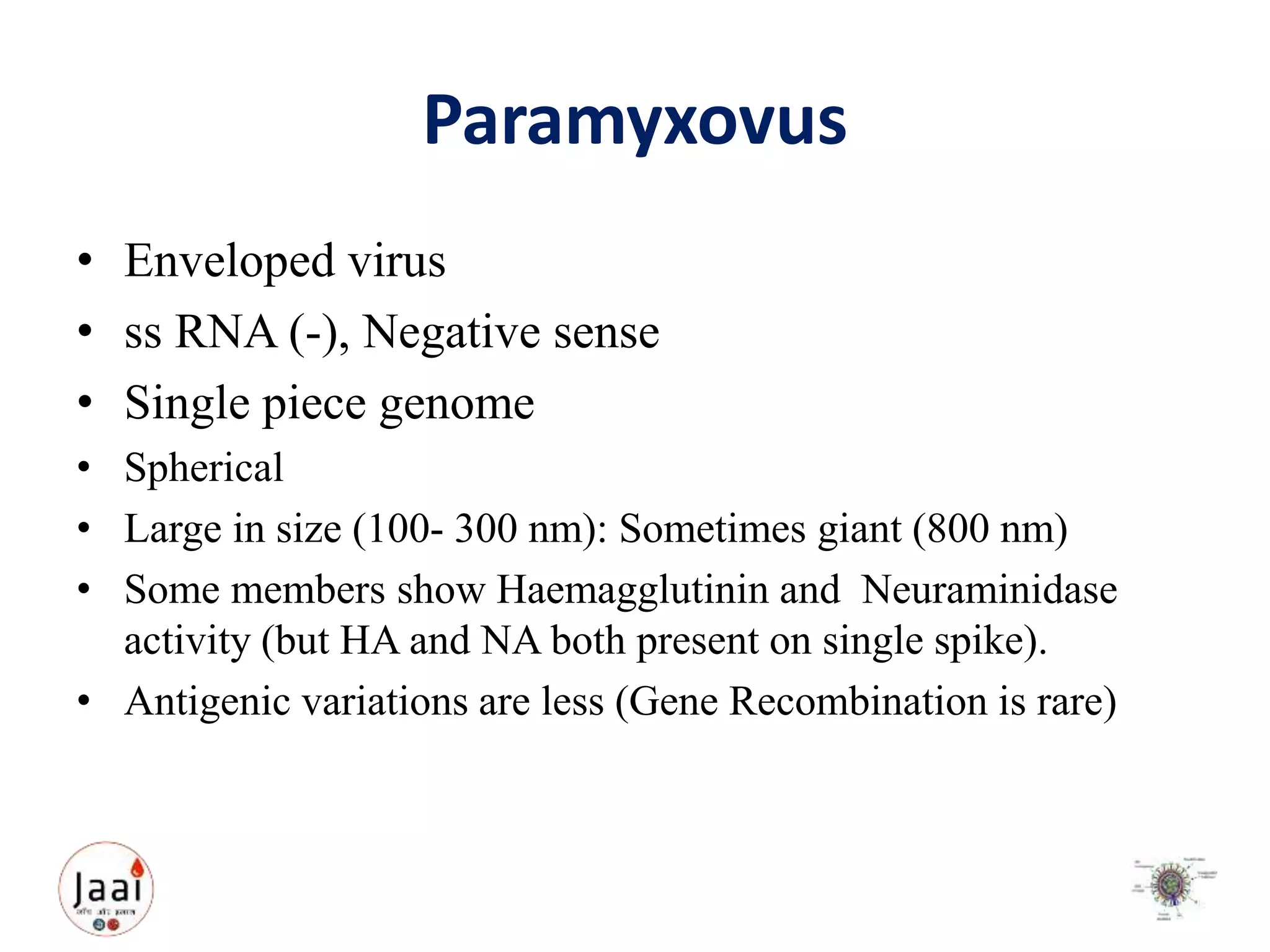 Paramyxovirus: Dr Kamlesh Patel | PPTX | Infectious Diseases | Diseases and Conditions