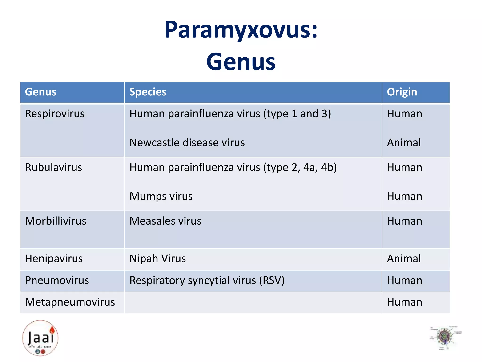 Paramyxovirus: Dr Kamlesh Patel | PPTX