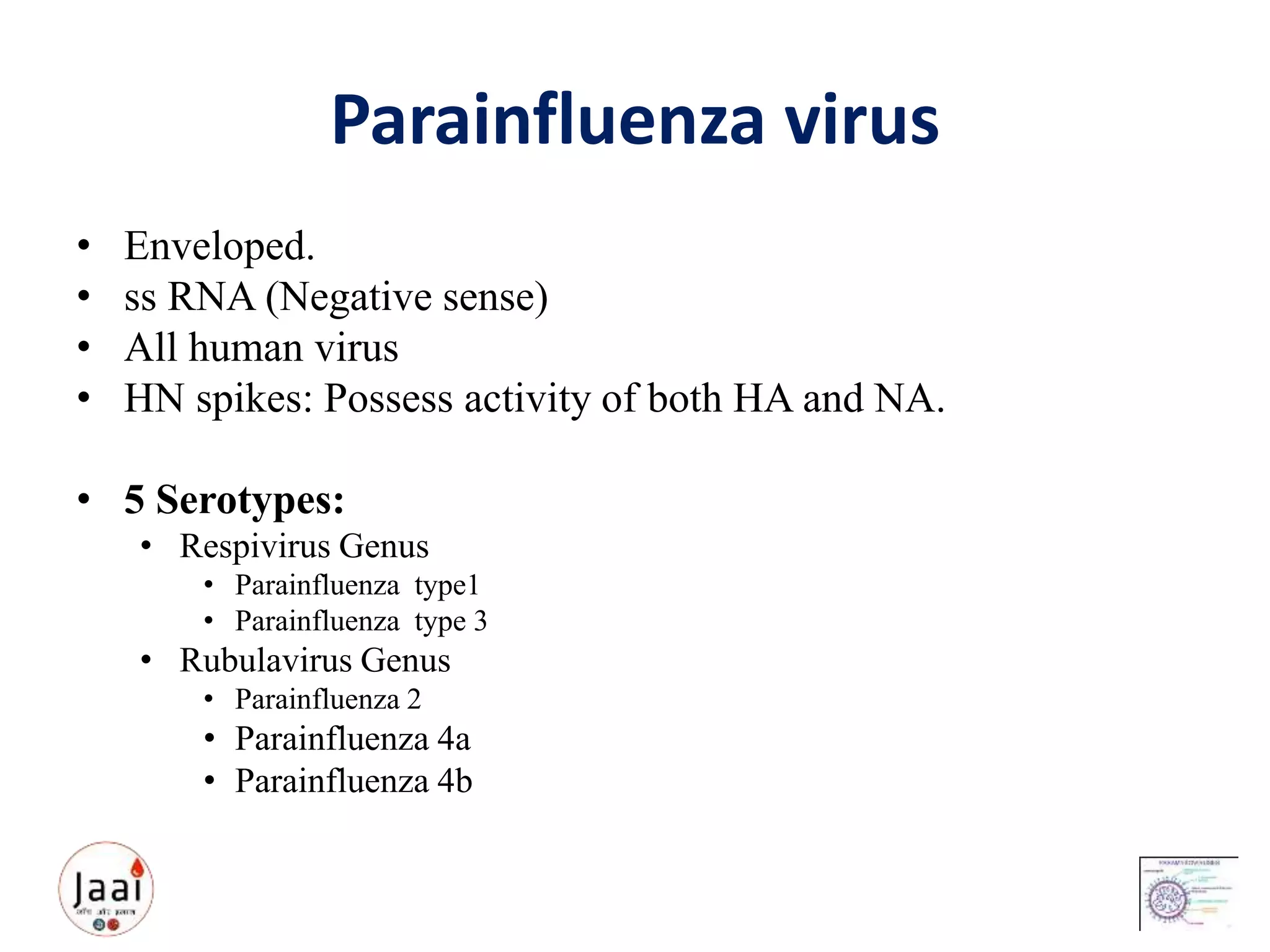 Paramyxovirus: Dr Kamlesh Patel | PPTX | Infectious Diseases | Diseases and Conditions
