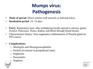 Paramyxovirus: Dr Kamlesh Patel | PPTX | Infectious Diseases | Diseases and Conditions