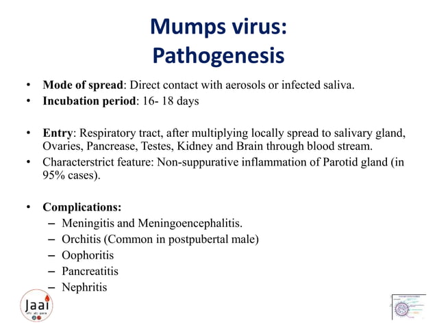 Paramyxovirus: Dr Kamlesh Patel | PPT