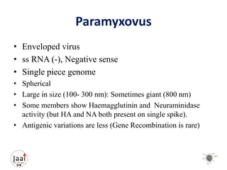 Paramyxovirus: Dr Kamlesh Patel | PPTX | Infectious Diseases | Diseases and Conditions