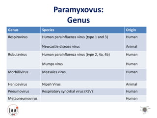 Paramyxovirus: Dr Kamlesh Patel | PPTX | Infectious Diseases | Diseases and Conditions