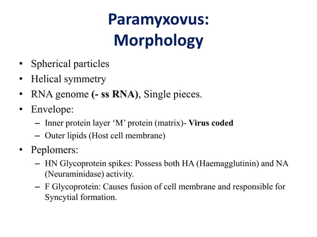 Paramyxovirus: Dr Kamlesh Patel | PPT