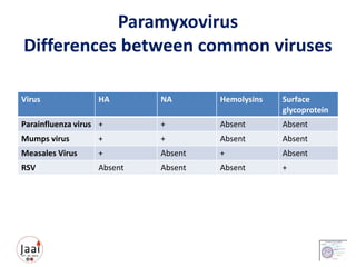 Paramyxovirus: Dr Kamlesh Patel | PPTX | Infectious Diseases | Diseases and Conditions