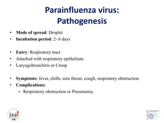 Paramyxovirus: Dr Kamlesh Patel | PPTX | Infectious Diseases | Diseases and Conditions