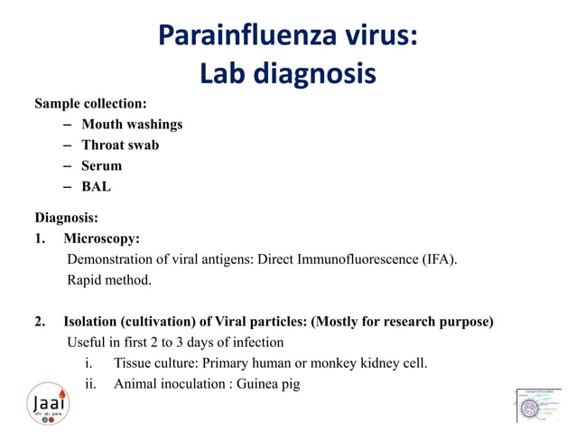 Paramyxovirus: Dr Kamlesh Patel | PPTX | Infectious Diseases | Diseases and Conditions