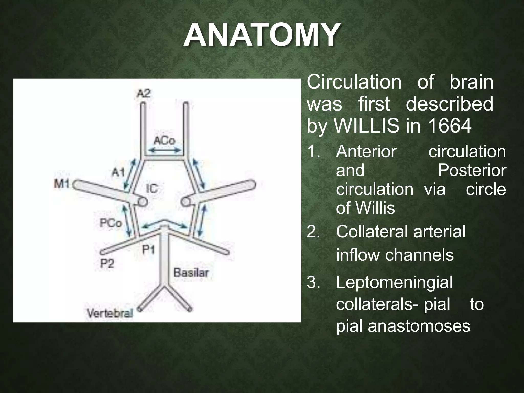 Cerebral Blood Flow and its Regulation | PPTX