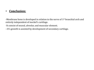 Face development of a fetus | PPTX