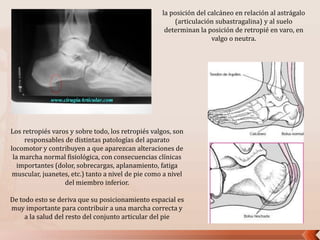 ANATOMIA - Articulacion Chopart y Lisfranc | PPTX