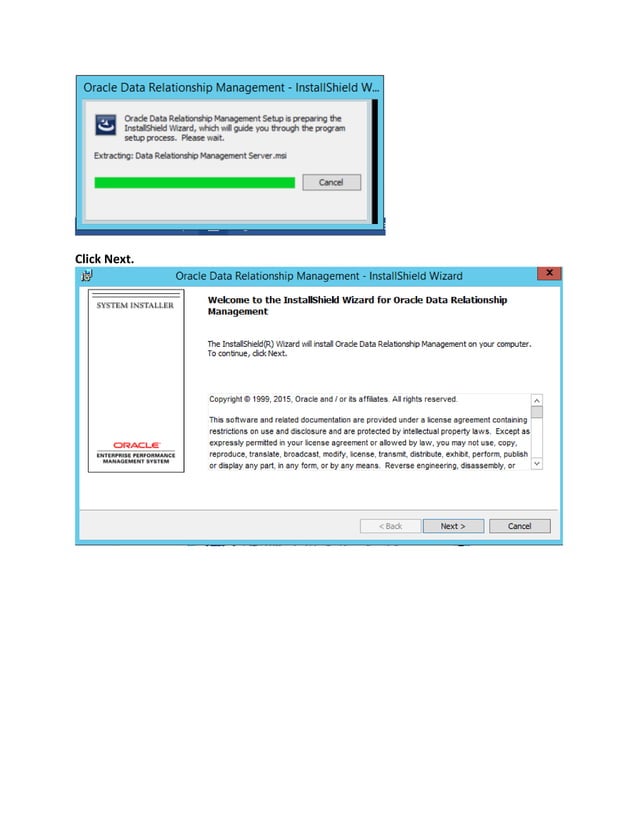 Data Relationship Management [ DRM ] | PDF