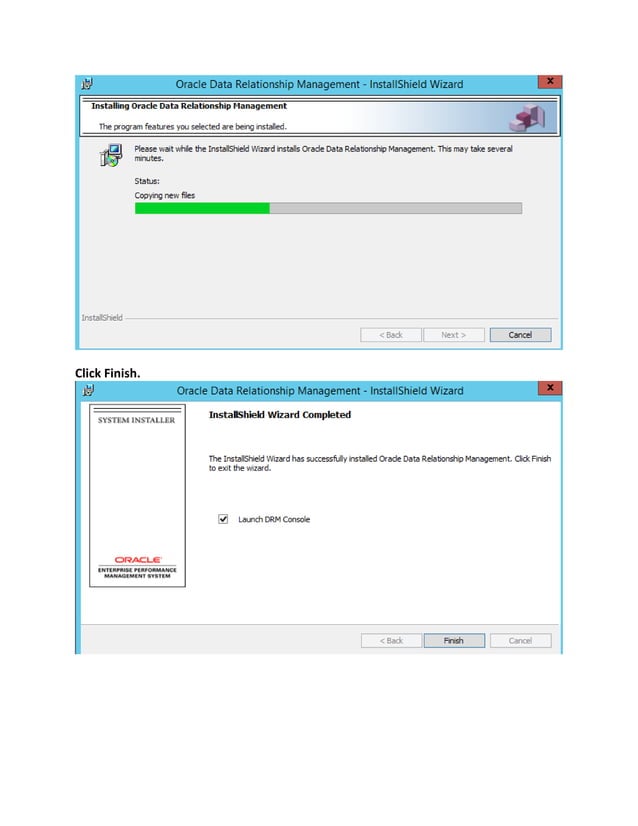 Data Relationship Management [ DRM ] | PDF