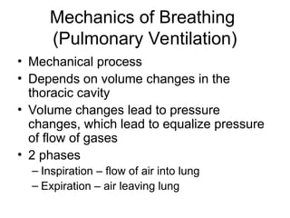 Anatomy of Human body Respiratory System | PPT