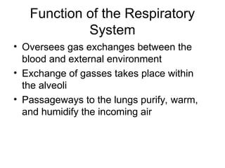 Anatomy of Human body Respiratory System | PPT