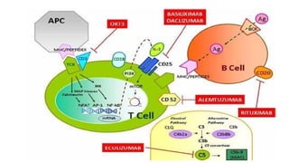 Antirejection medication | PDF