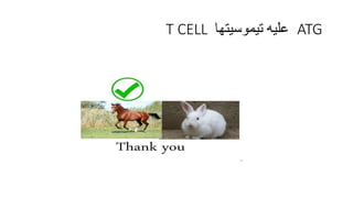 Antirejection medication | PDF