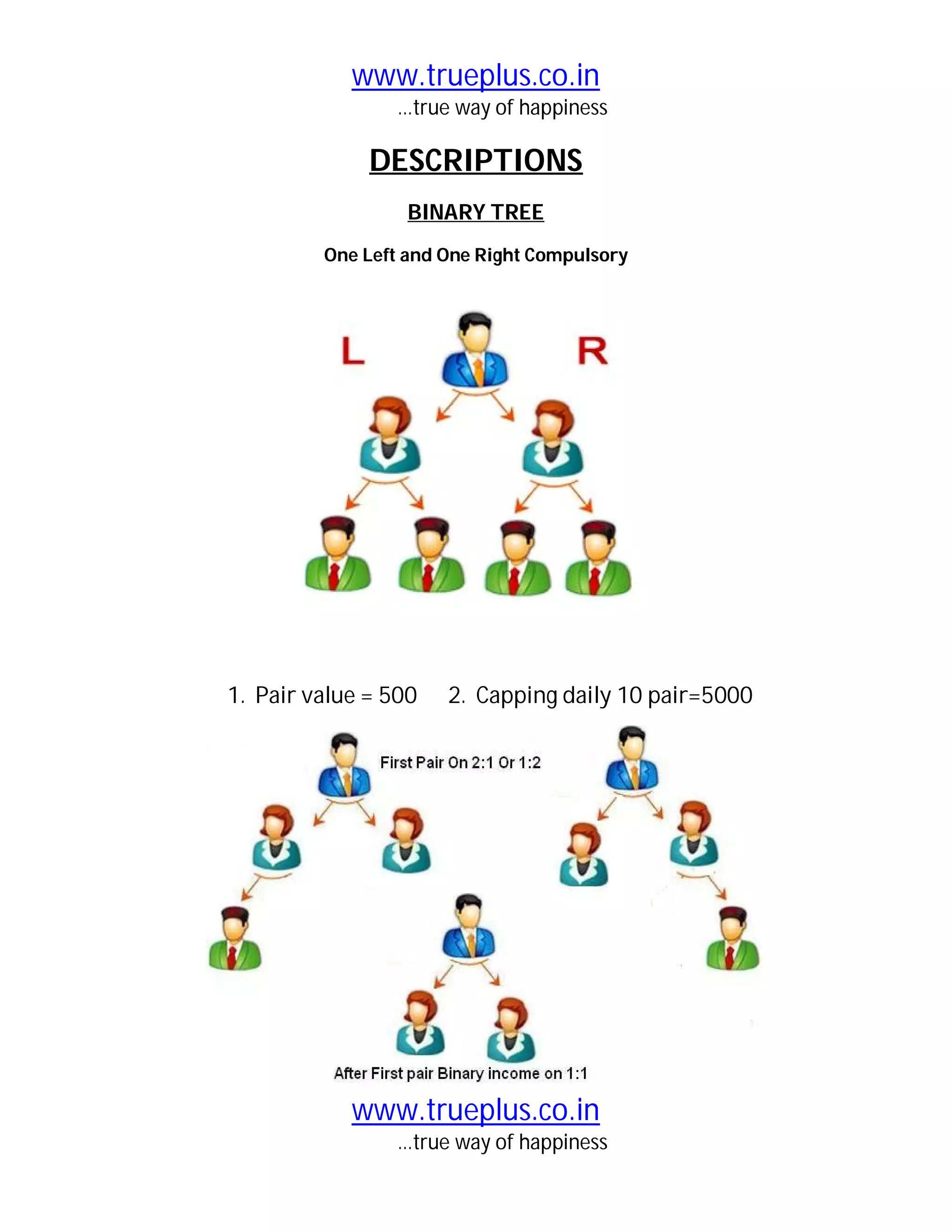 Dr maninder pal singh 8847268639 true plus business plan | PDF