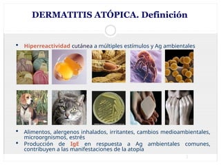 resuemen de dermatitis atopica y sus caracteristicas | PPTX