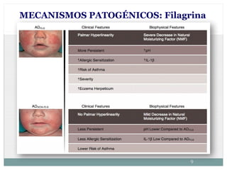 resuemen de dermatitis atopica y sus caracteristicas | PPTX