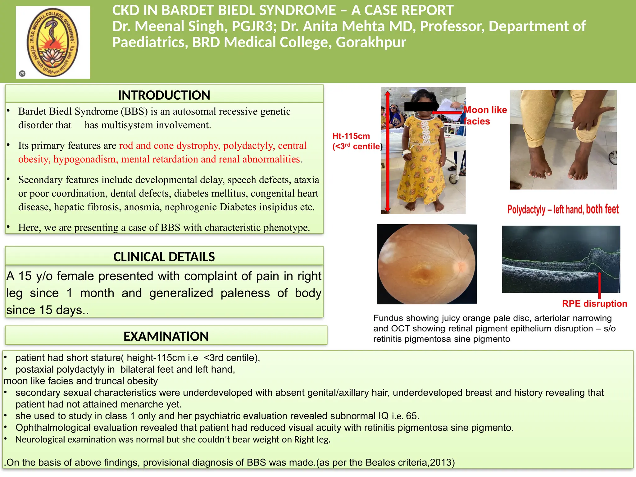 DR MEENAL POSTER.pptx jfjfjjjjjjfuduuujjjd | PPT
