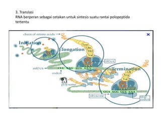 BIOKIMIA_METABOLISME_ASAM_NUKLEAT.pptx