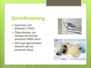 Dröm och sömn | PPT