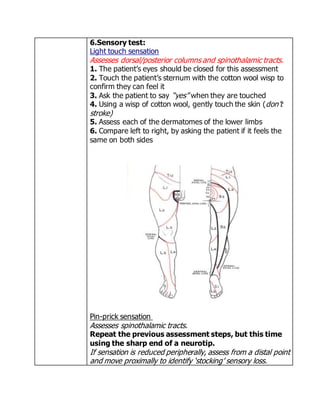 nEUROLOGICAL EXAM OF LOWER LIMB | DOCX