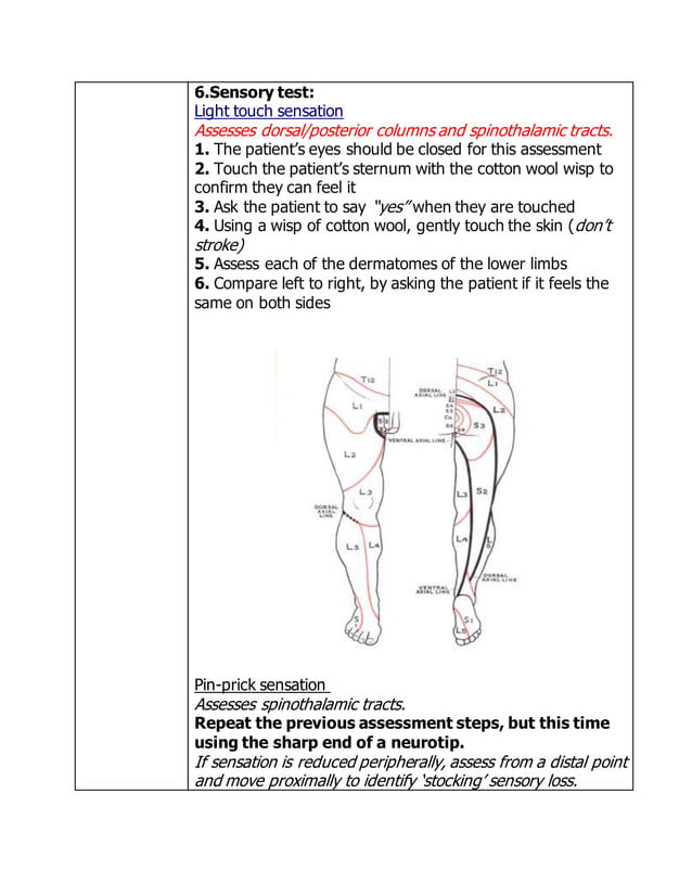 nEUROLOGICAL EXAM OF LOWER LIMB | DOCX