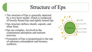 waste water treatment through Algae and Cyanobacteria | PPTX