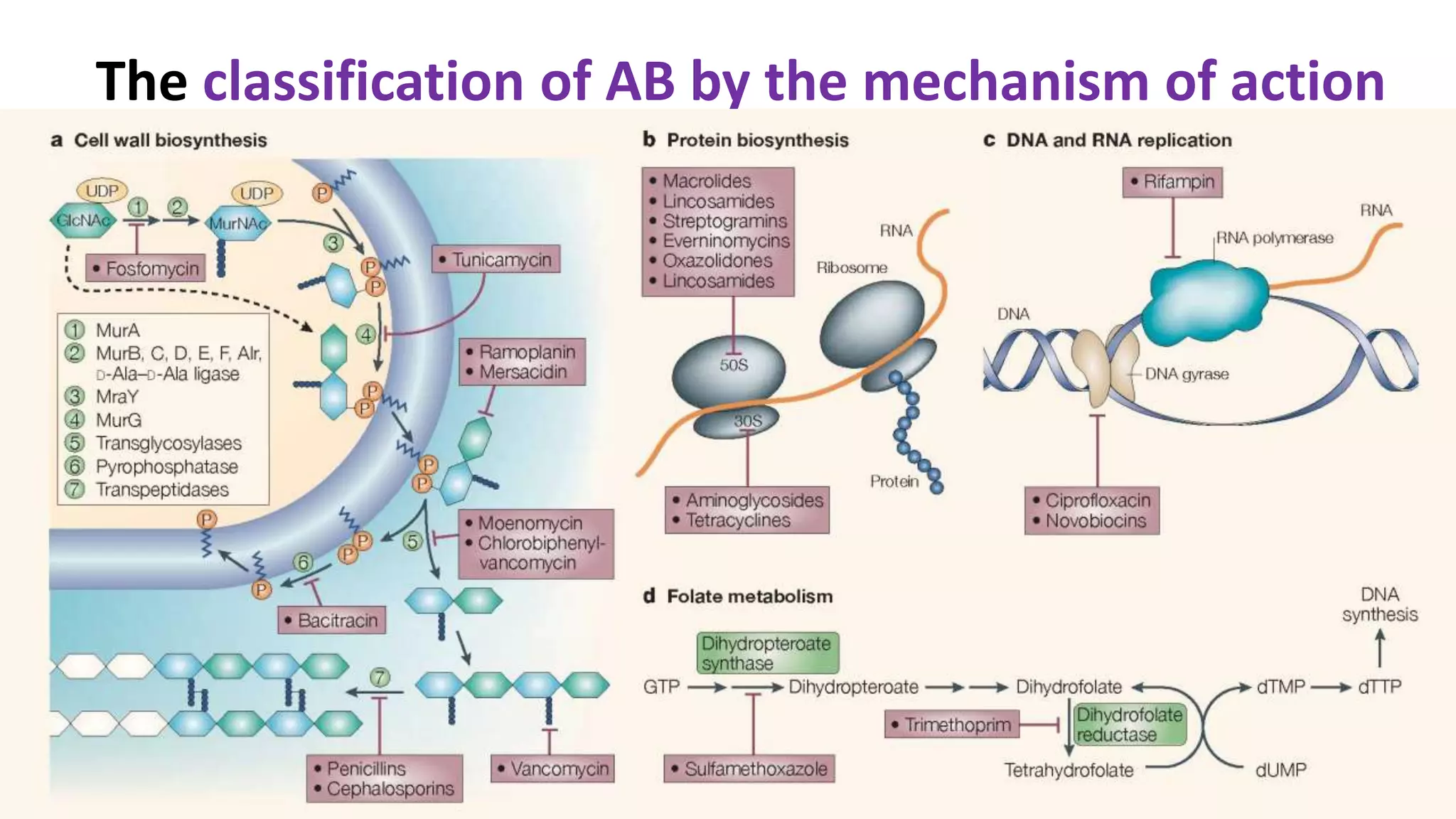 Multidrug Resistant Oraganisms (MDRO) infection control | PPT
