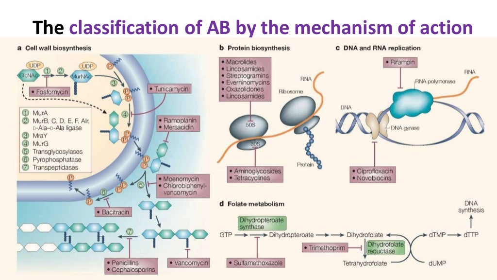 Multidrug Resistant Oraganisms (MDRO) infection control