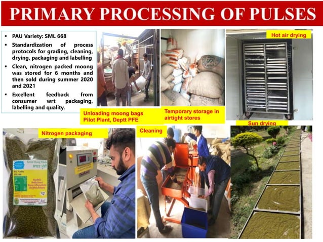 Agro-Processing Complexes, Punjab Agricultural University | PPTX