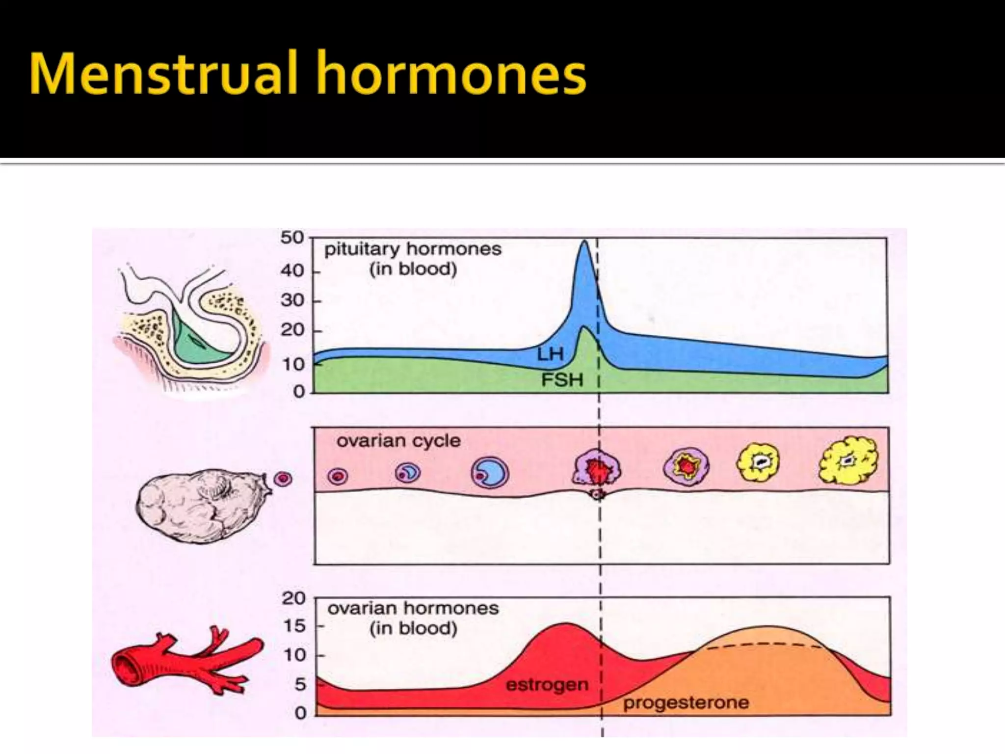 Drm science lecture 2 CONTRACEPTIVES AND IUDs | PPTX