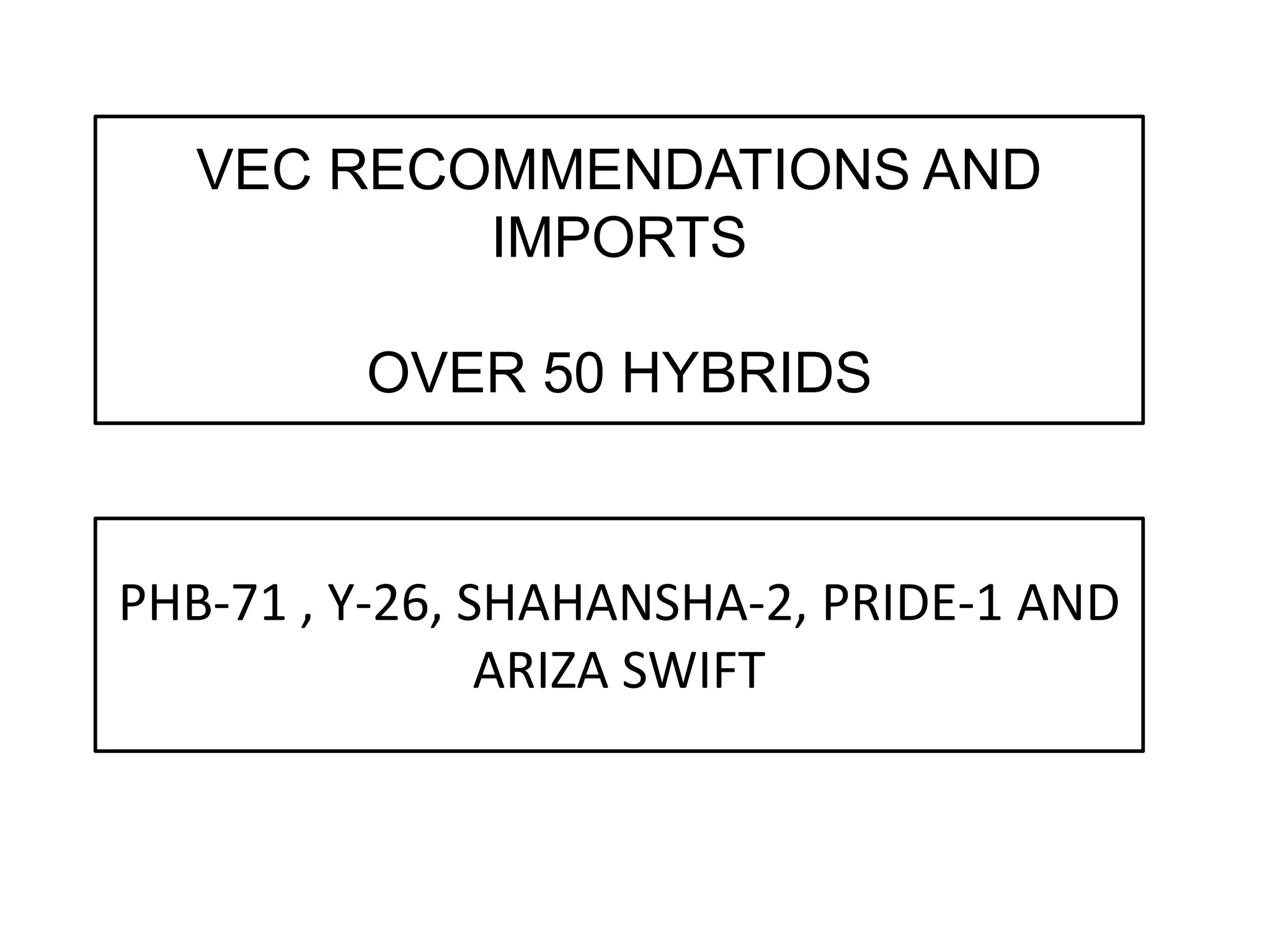 STATUS OF RICE RESEARCH AND HYBRID DEVELOPMENT IN PAKISTAN | PDF
