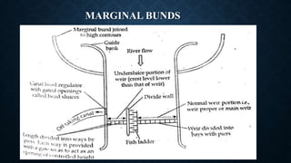 Dr Mujahid sb Presentation 2.pptx