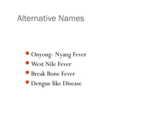 dengue fever | PPT