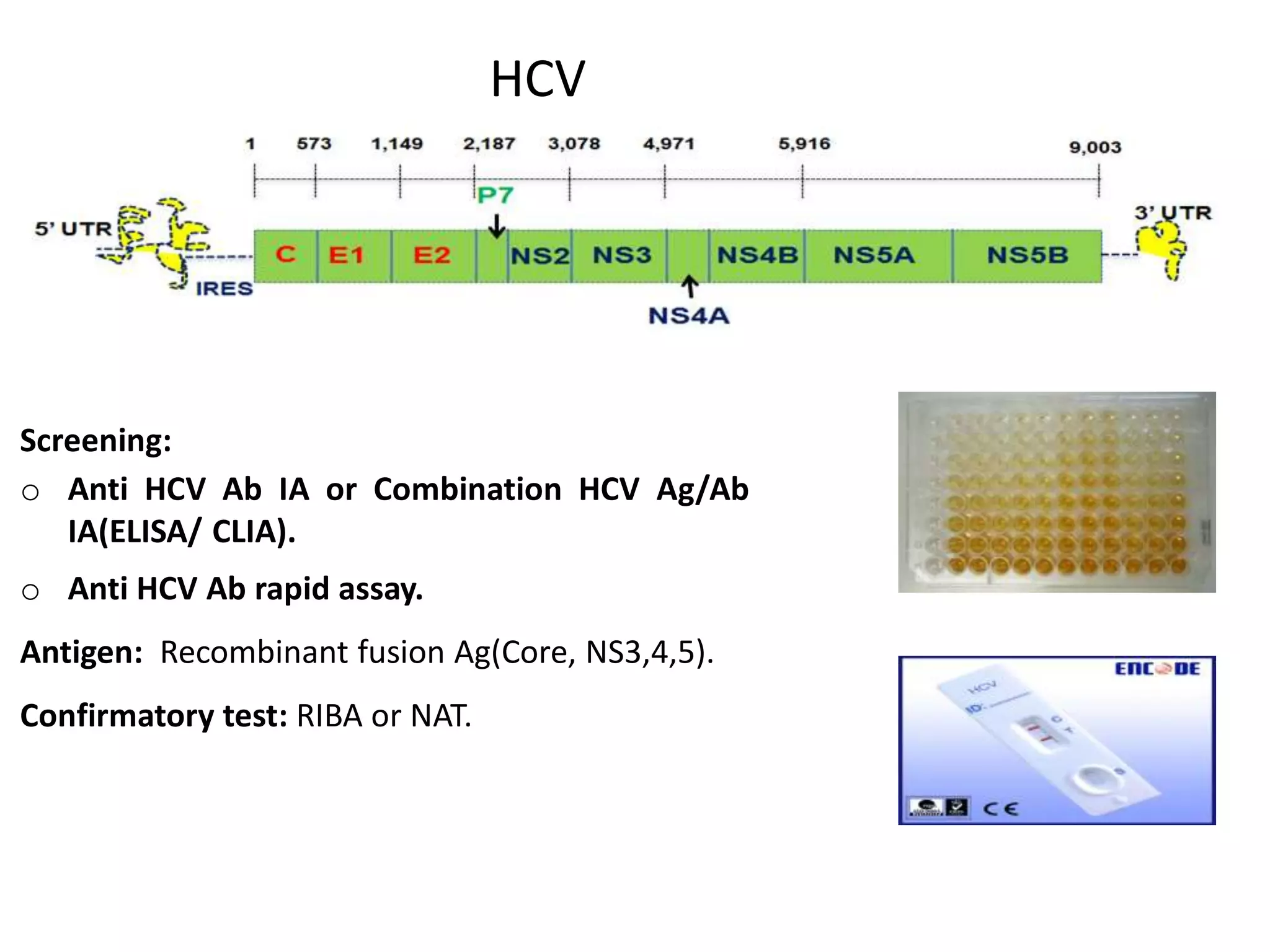 Transfusion tranmitted Infection- Testing platform& recommendations | PDF