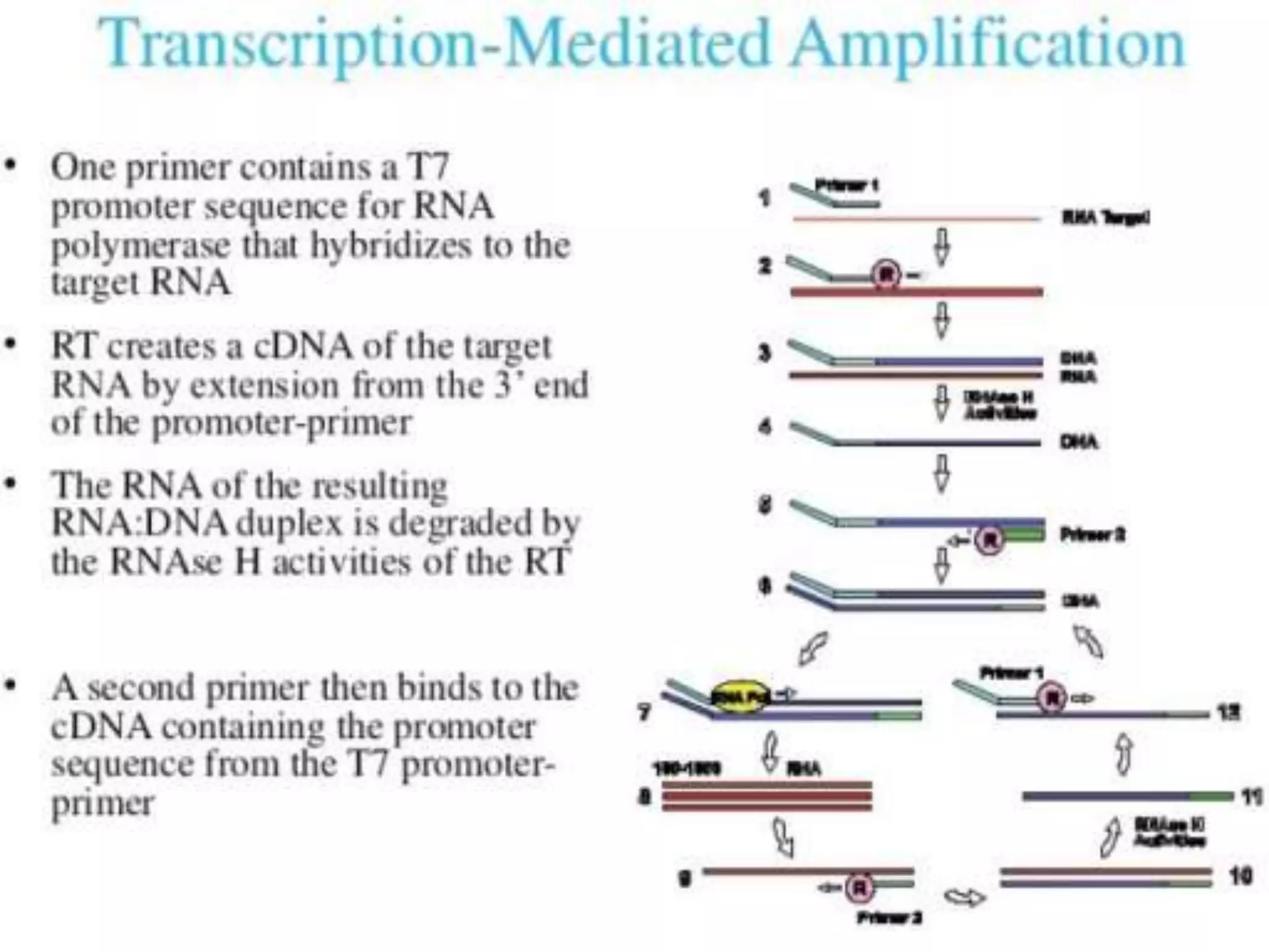Transfusion tranmitted Infection- Testing platform& recommendations | PDF