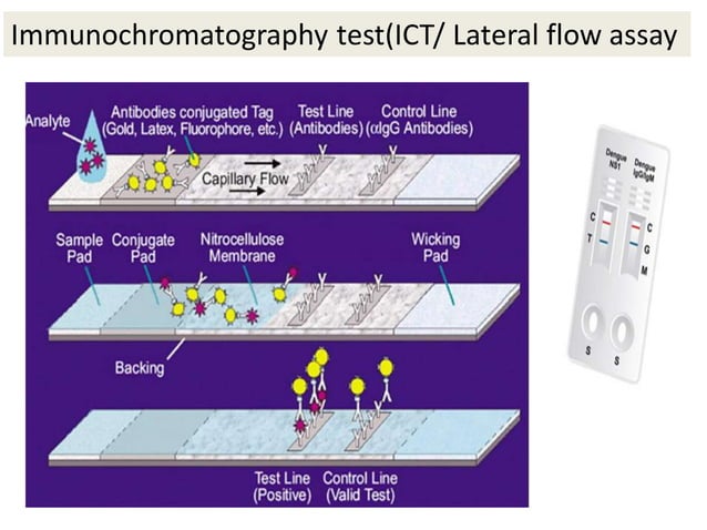 Transfusion tranmitted Infection- Testing platform& recommendations | PDF