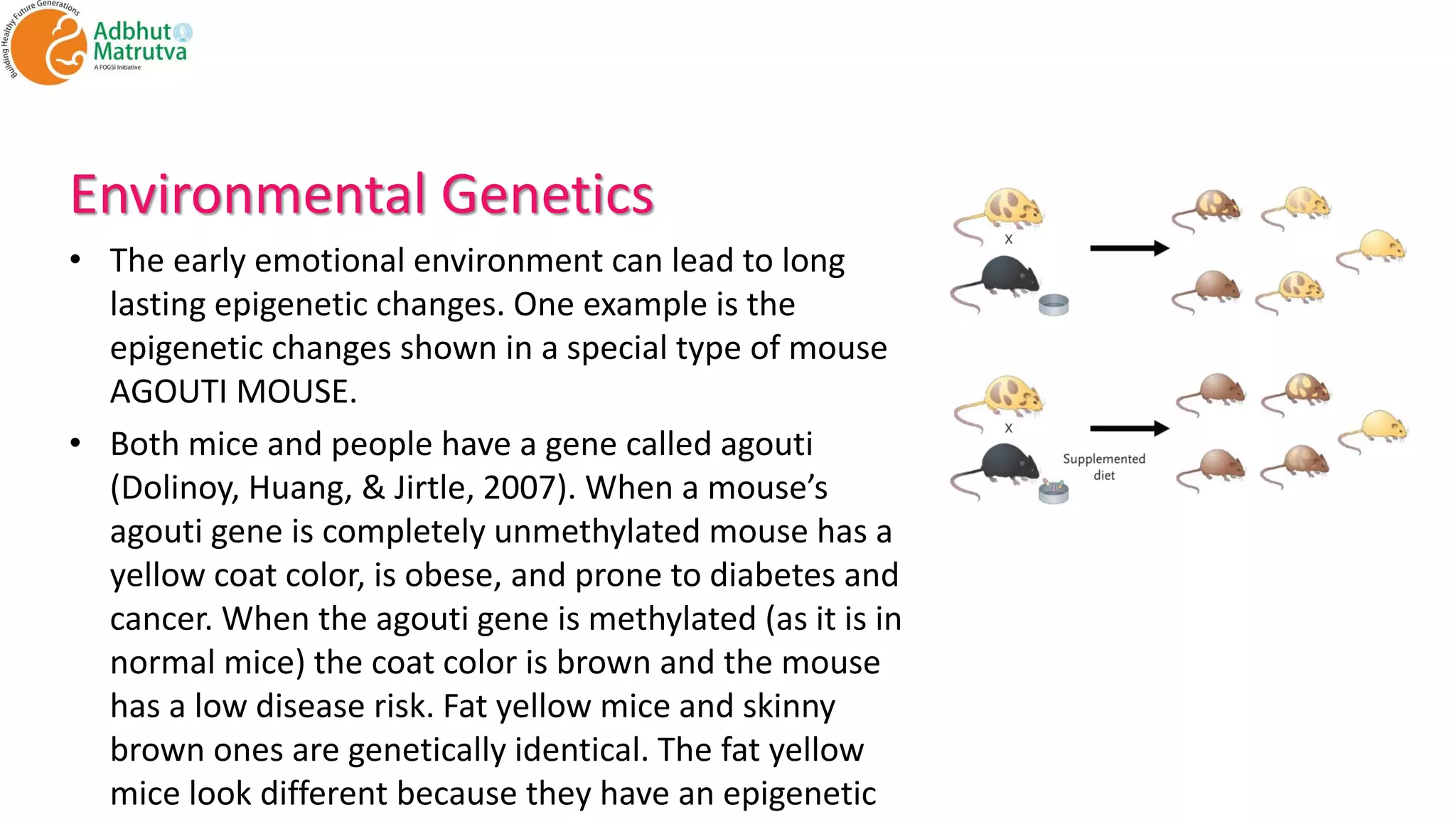 Epigenetics | PDF
