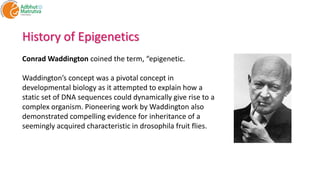 Epigenetics | PDF