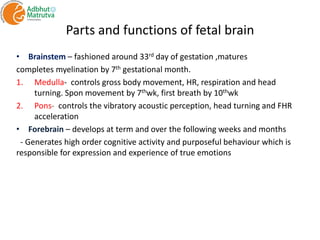 Fetal Psychology | PPT